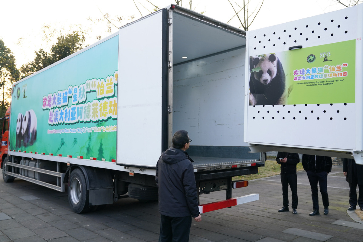 Two giant pandas depart for Australia